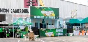 Près de 100 milliards pour une nouvelle usine du groupe Kadji - News du ...